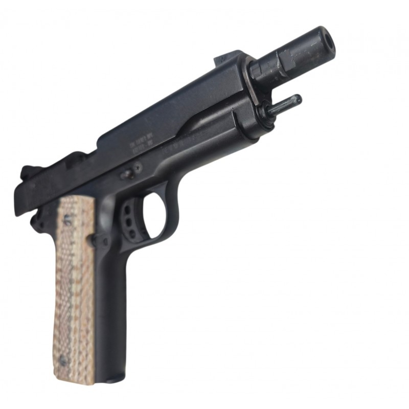 Sig Sauer 1911-22